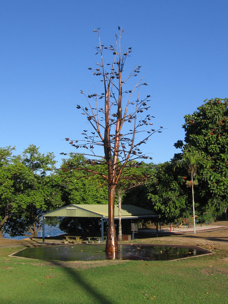 Karen Cusolito | Girringun Flame Tree